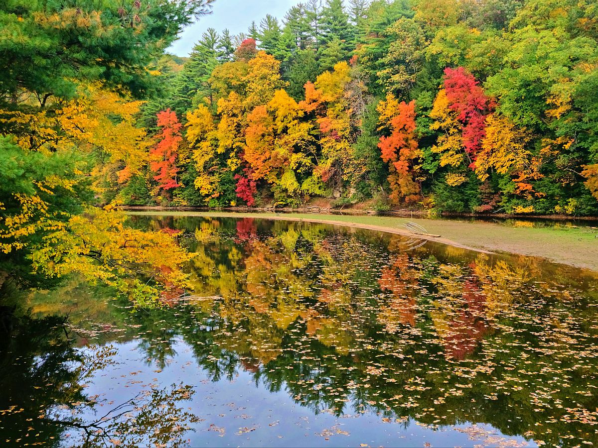 001 Amanda Lockwood Millcreek Bridge Clarion County fall | Visit PA ...