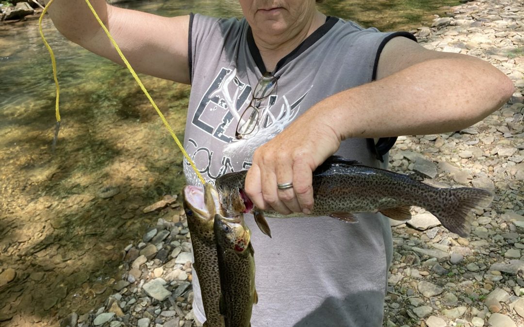 001, lori miller, 3 fish on a stringer, cameron county | Visit PA Great ...