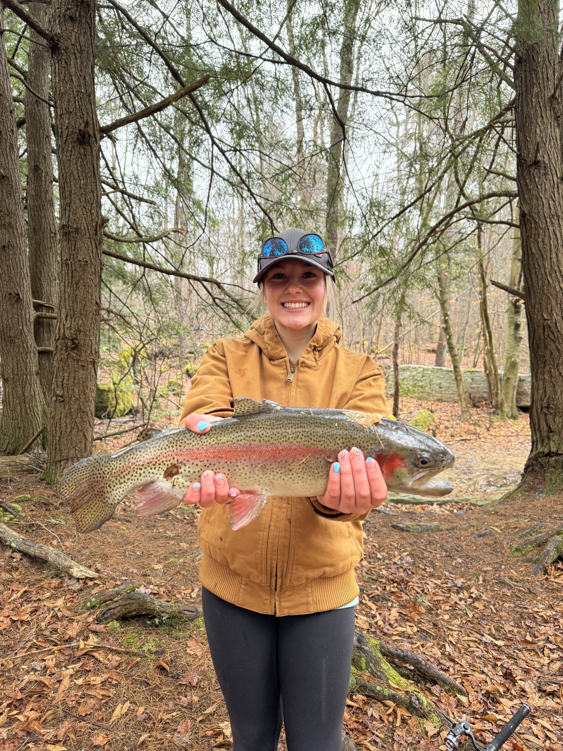 006 Icy Addeo Trout Maxwell Run Elk County | Visit PA Great Outdoors