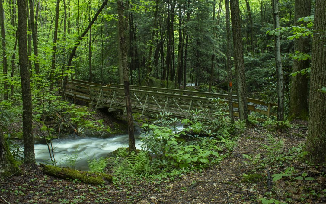 006-charlie cropp- quehanna trail, red run bridge- Elk County | Visit ...