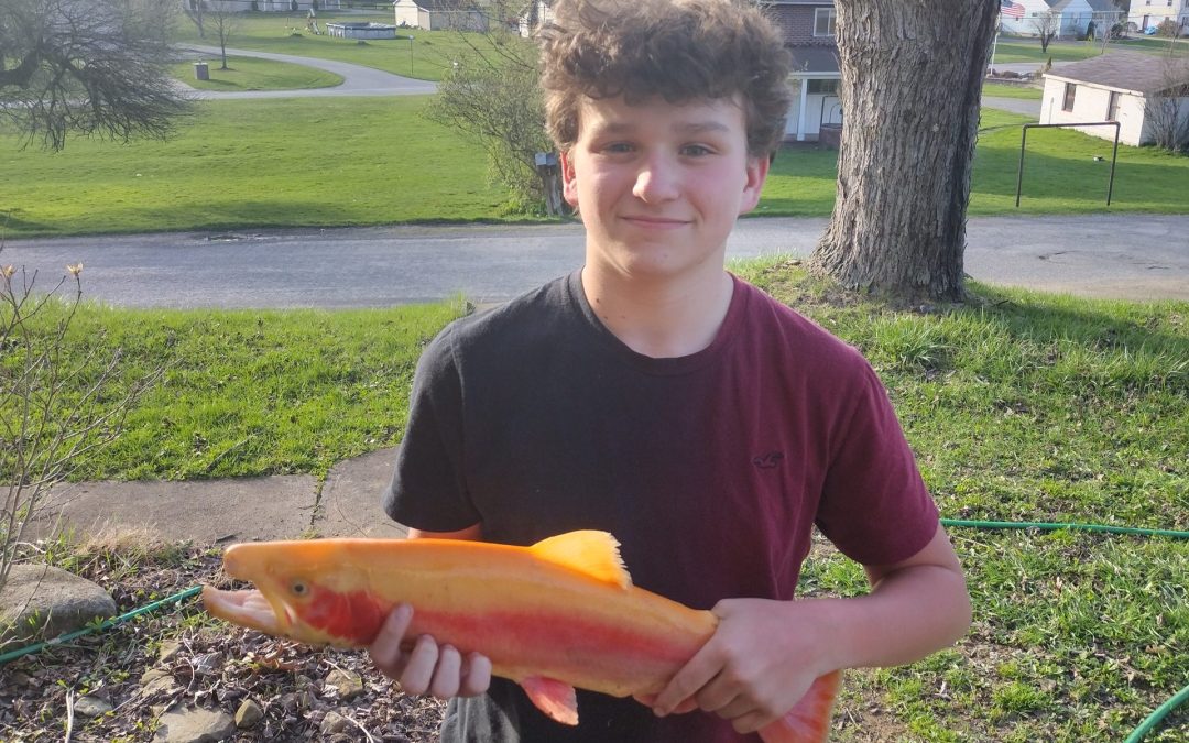 007, Hayden Shadduck, kid with palomino, elk county | Visit PA Great ...