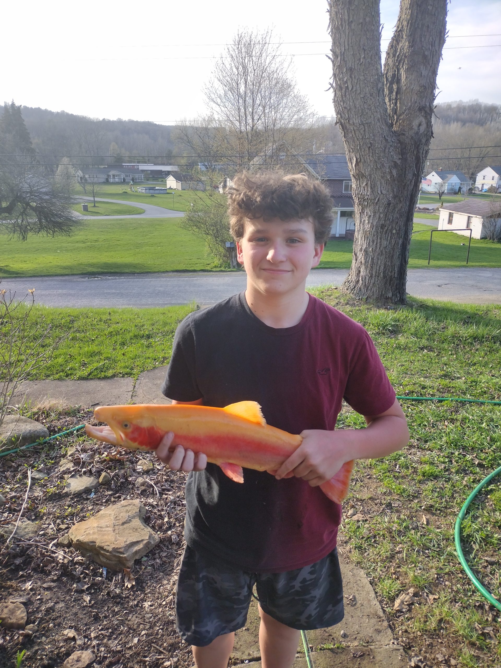 007, Hayden Shadduck, kid with palomino, elk county | Visit PA Great ...