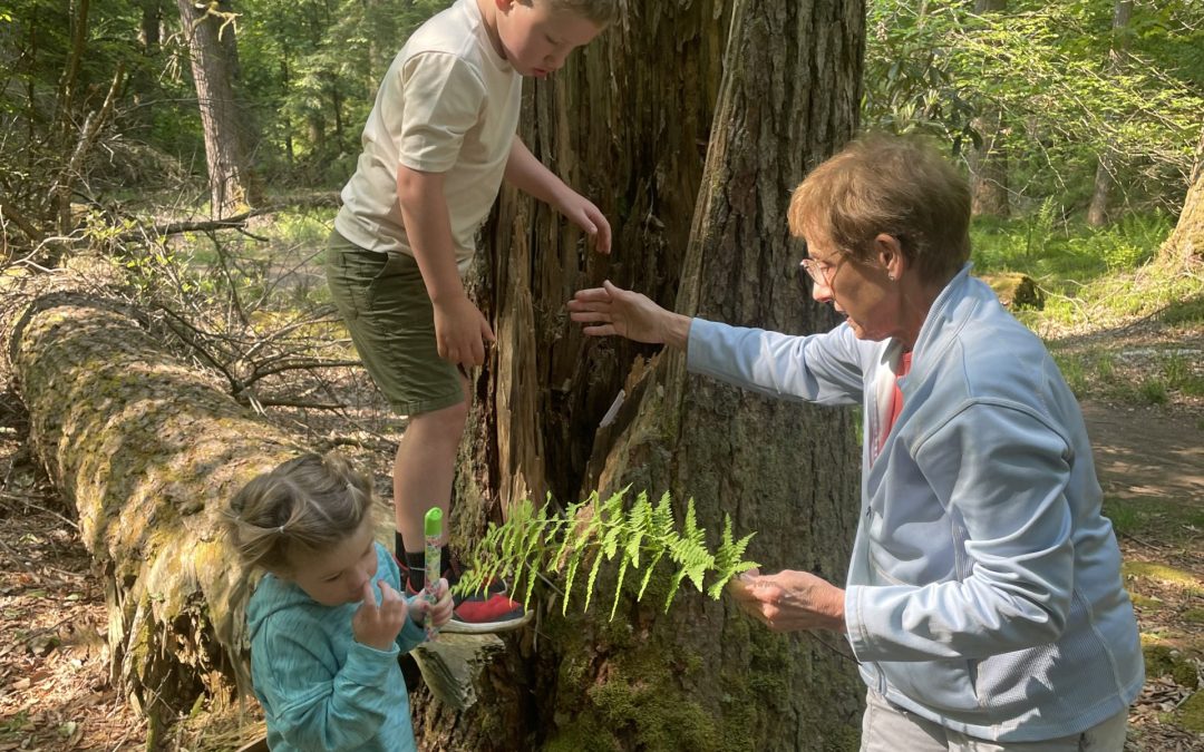 007 Kaite Cleland Cook Forest | Visit PA Great Outdoors