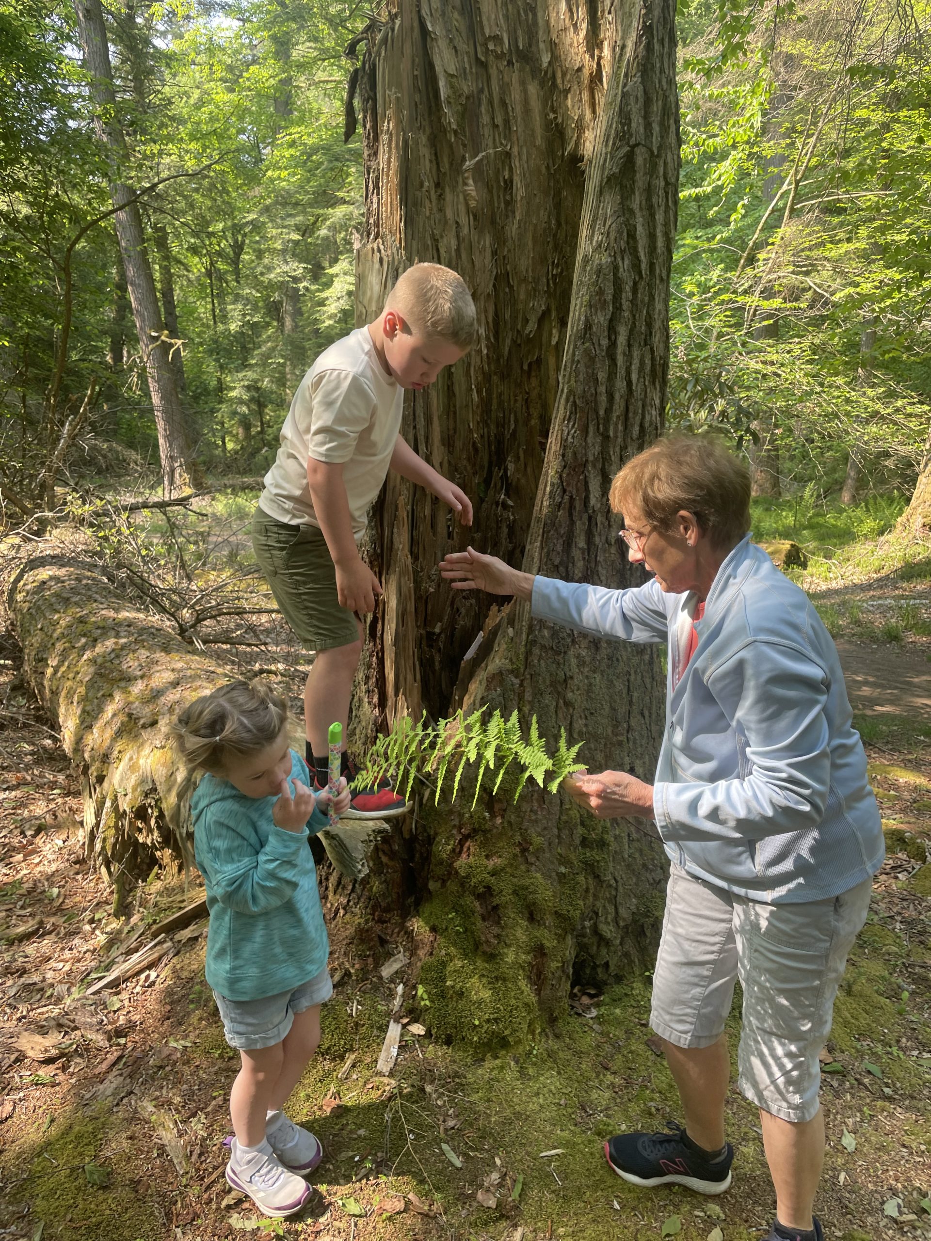 007 Kaite Cleland Cook Forest | Visit PA Great Outdoors