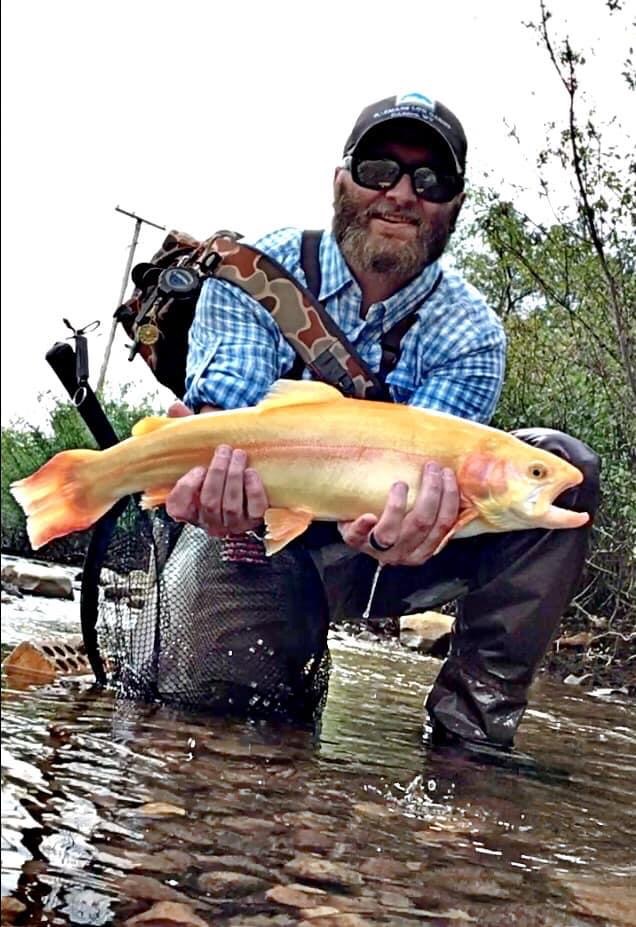 010, scott winters,man, palomino, west branch, cook forest | Visit PA ...