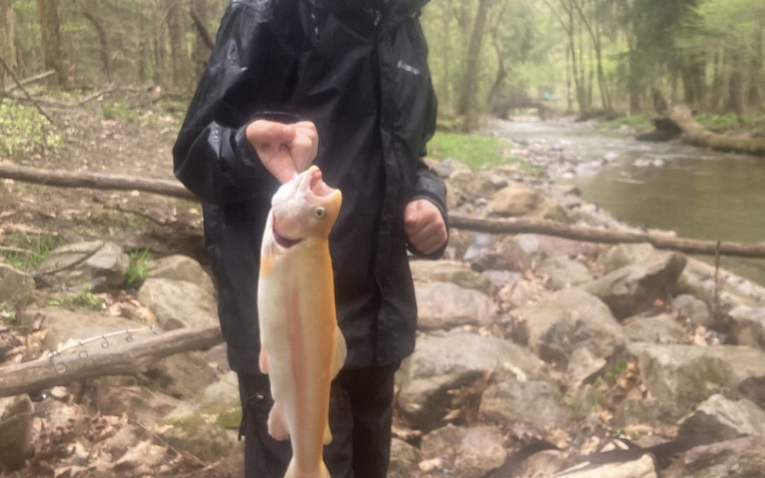 011 Cal Casper Ross Run Forest County Trout | Visit PA Great Outdoors