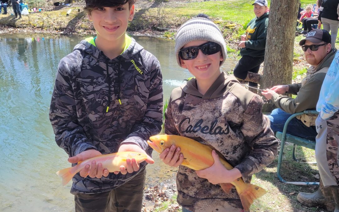 011, michelle odell, two boys, two palominos, elk county | Visit PA ...