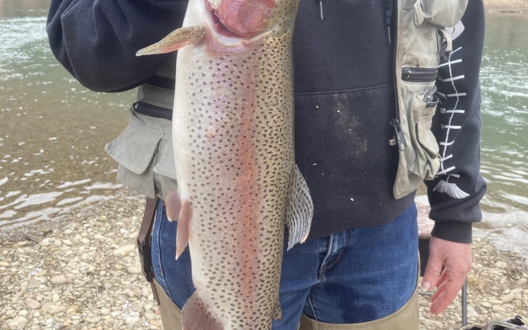 011 tina Talmadge, lady trout, cameron county | Visit PA Great Outdoors