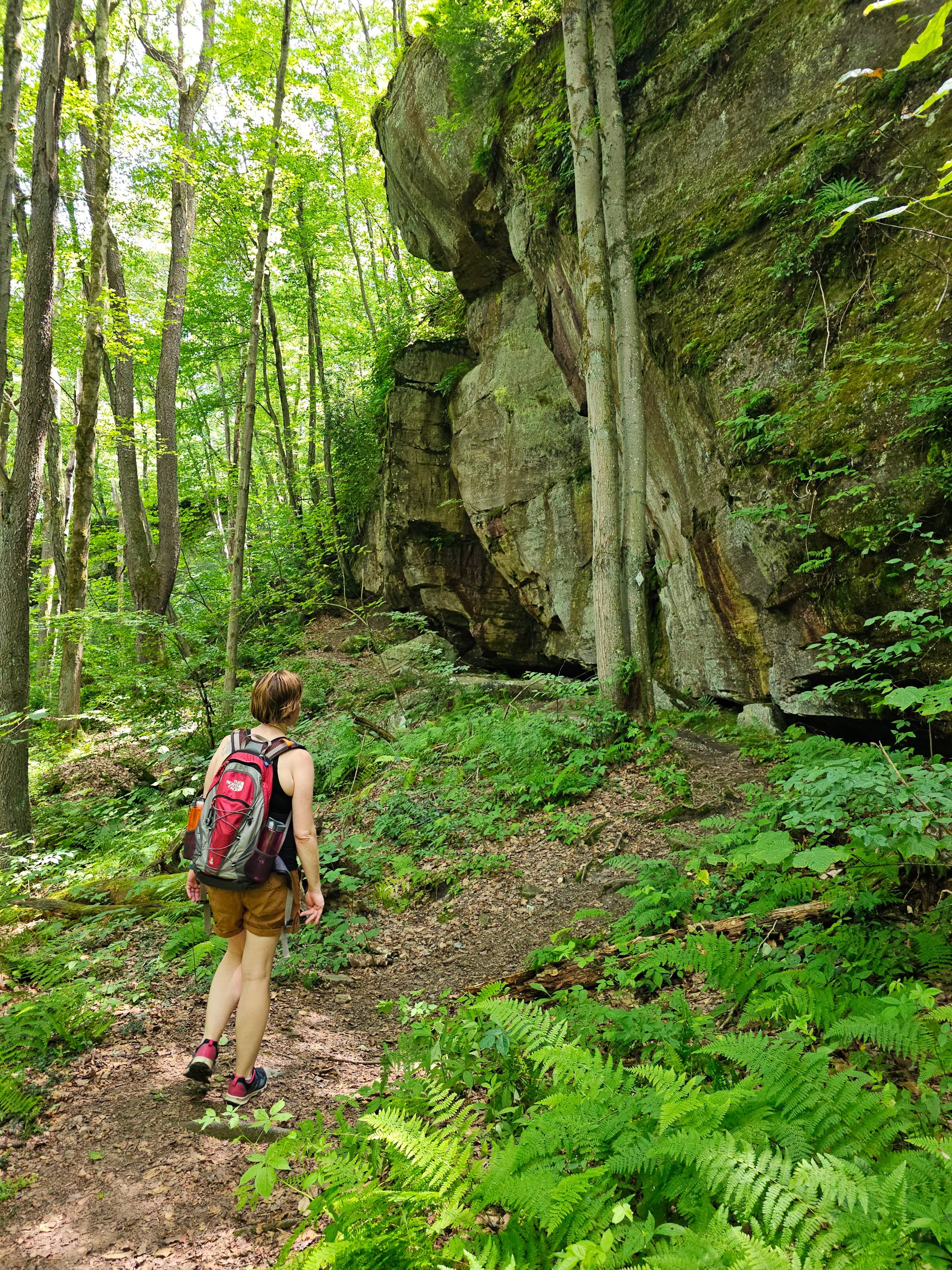 011Mark Matthews Forest County person in forest near big rock formation ...