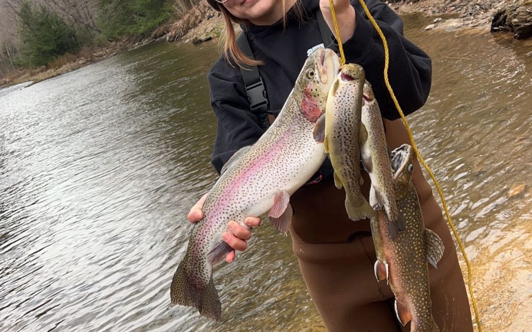 013 Alexis Hensel Elk County Trout | Visit PA Great Outdoors
