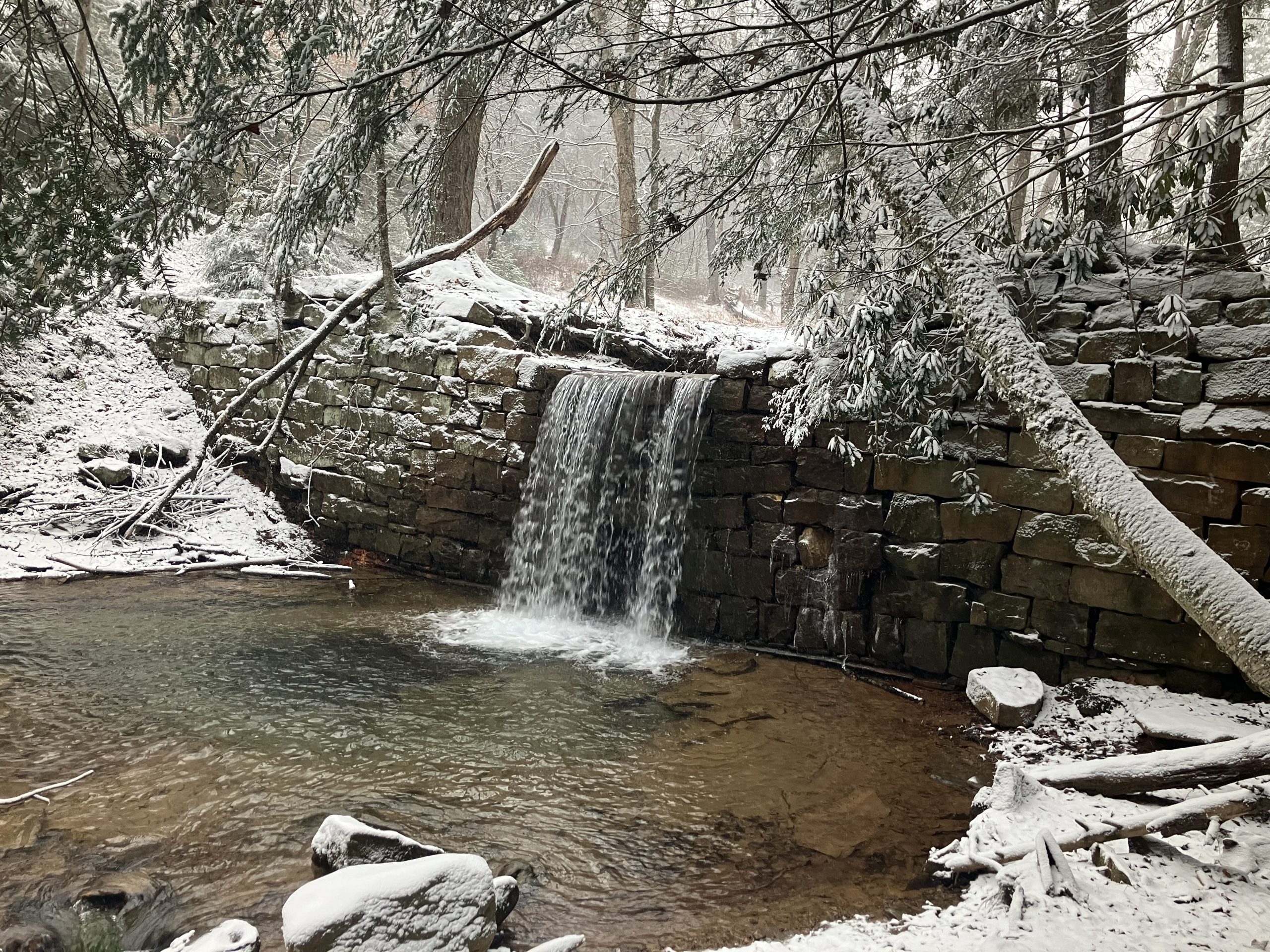 013 Angela Murray snowy henry run sawmill dam waterfall cook forest ...