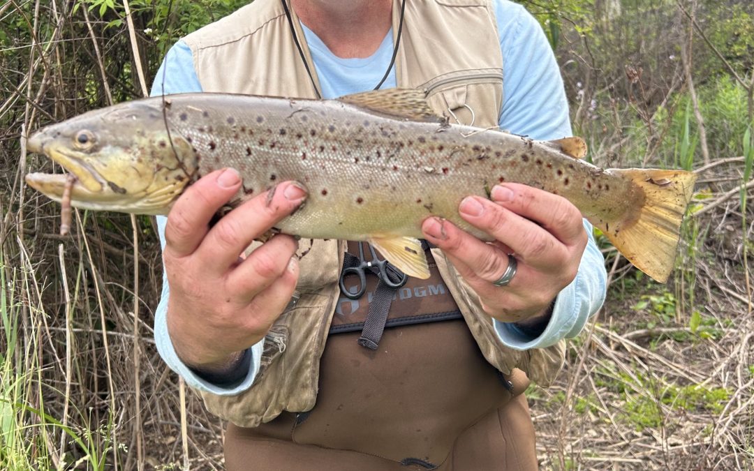 015 Brian Huff Elk County | Visit PA Great Outdoors