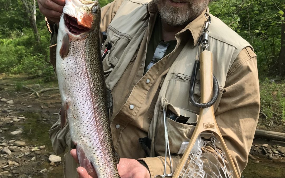 016 Michael Shuler Driftwood Cameron County | Visit PA Great Outdoors