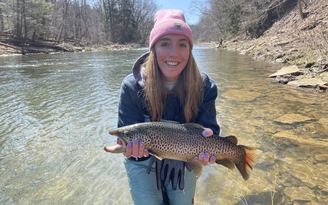018 dennis simmers, 23 inch brown trout, north fork | Visit PA Great ...