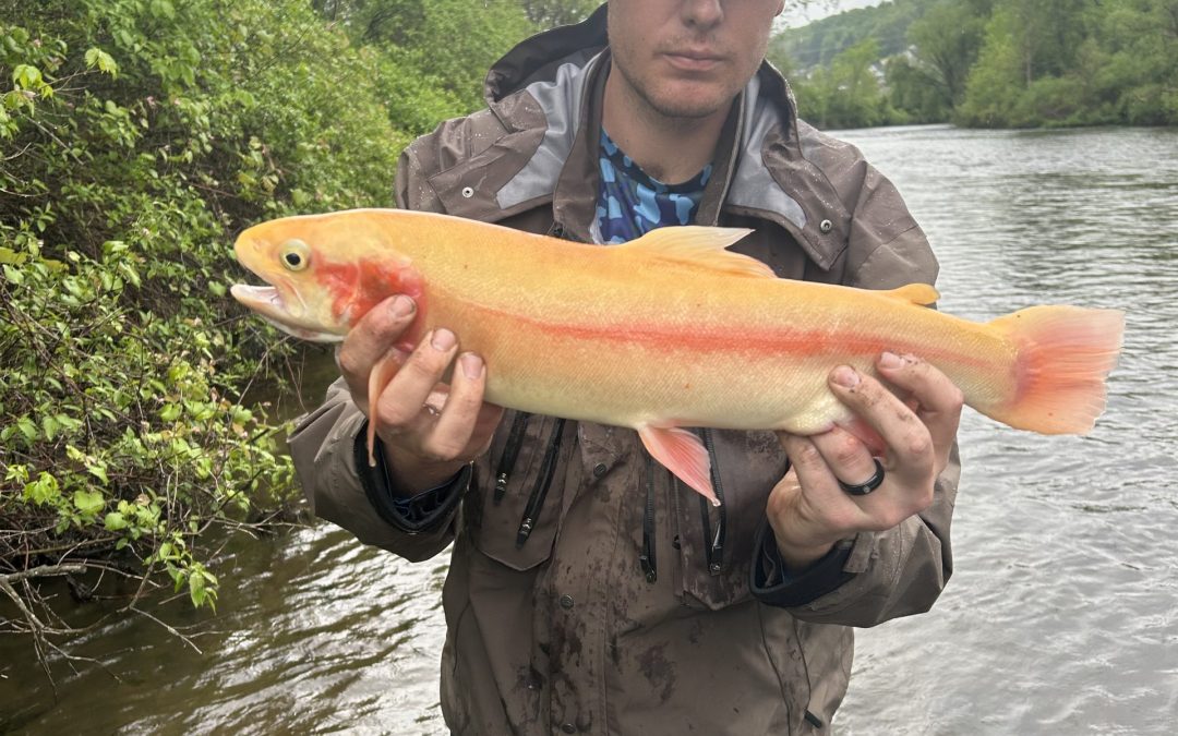 019 Corry Huff Elk County Trout | Visit PA Great Outdoors