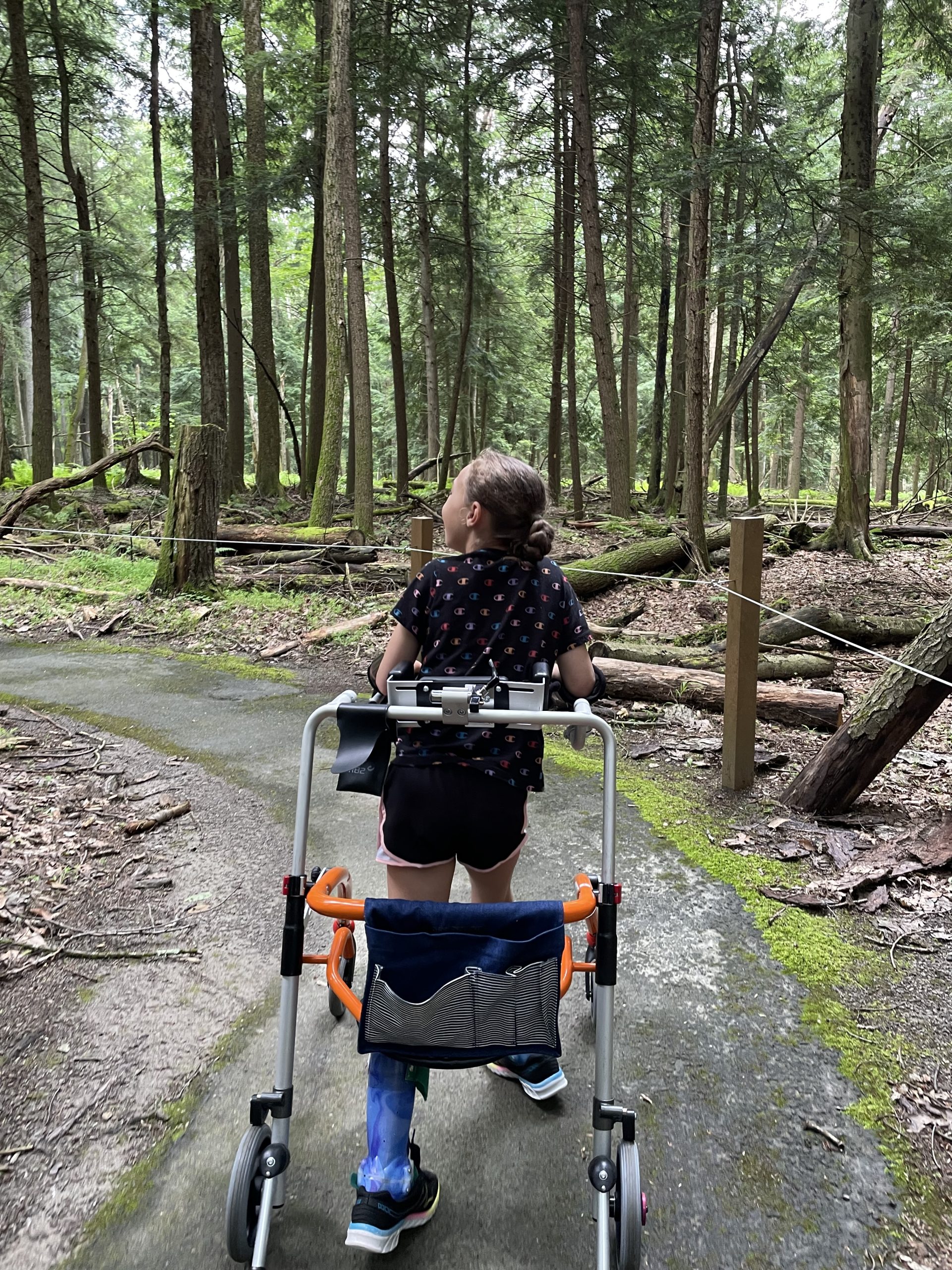 022 Emma Waldron Sensory Trail Cook Forest | Visit PA Great Outdoors