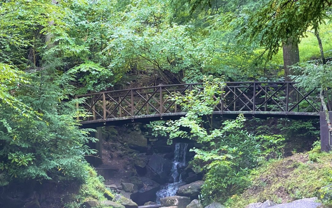 023-elisha roth- bridge- cook forest | Visit PA Great Outdoors