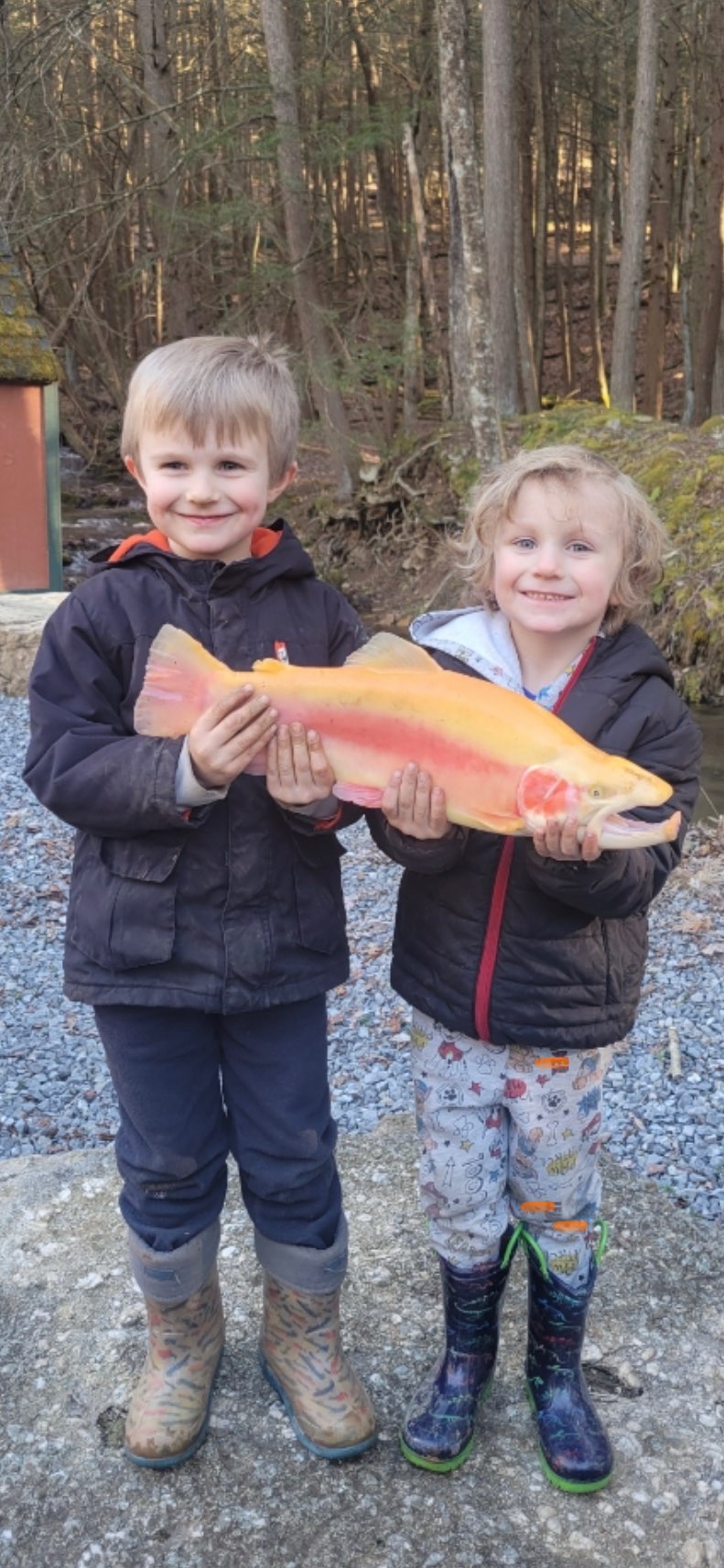 025 Briley and Carson Kline Medix Run Elk County Palomino | Visit PA ...