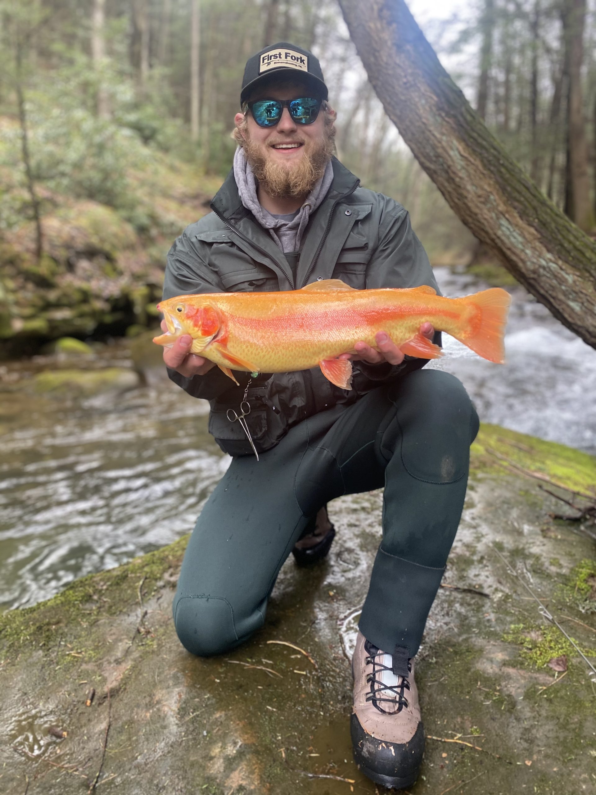 028 Justin Freeman, guy, nice palomino, cameron county | Visit PA Great ...