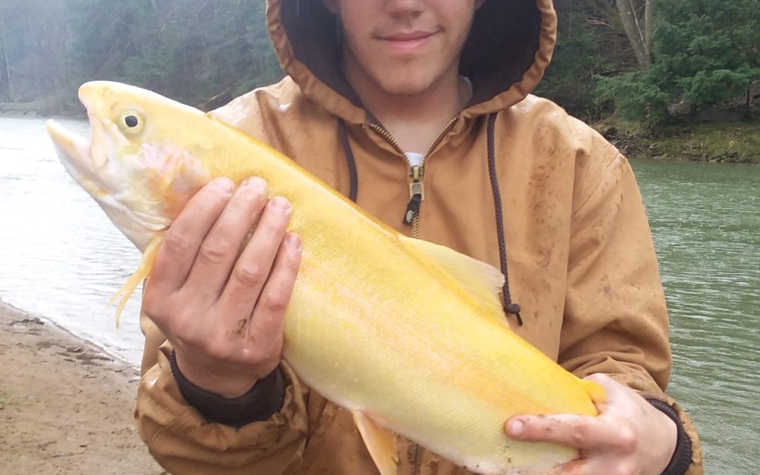 032 Jacob Bianco, kid, large fish, mahoning creek, jefferson county ...
