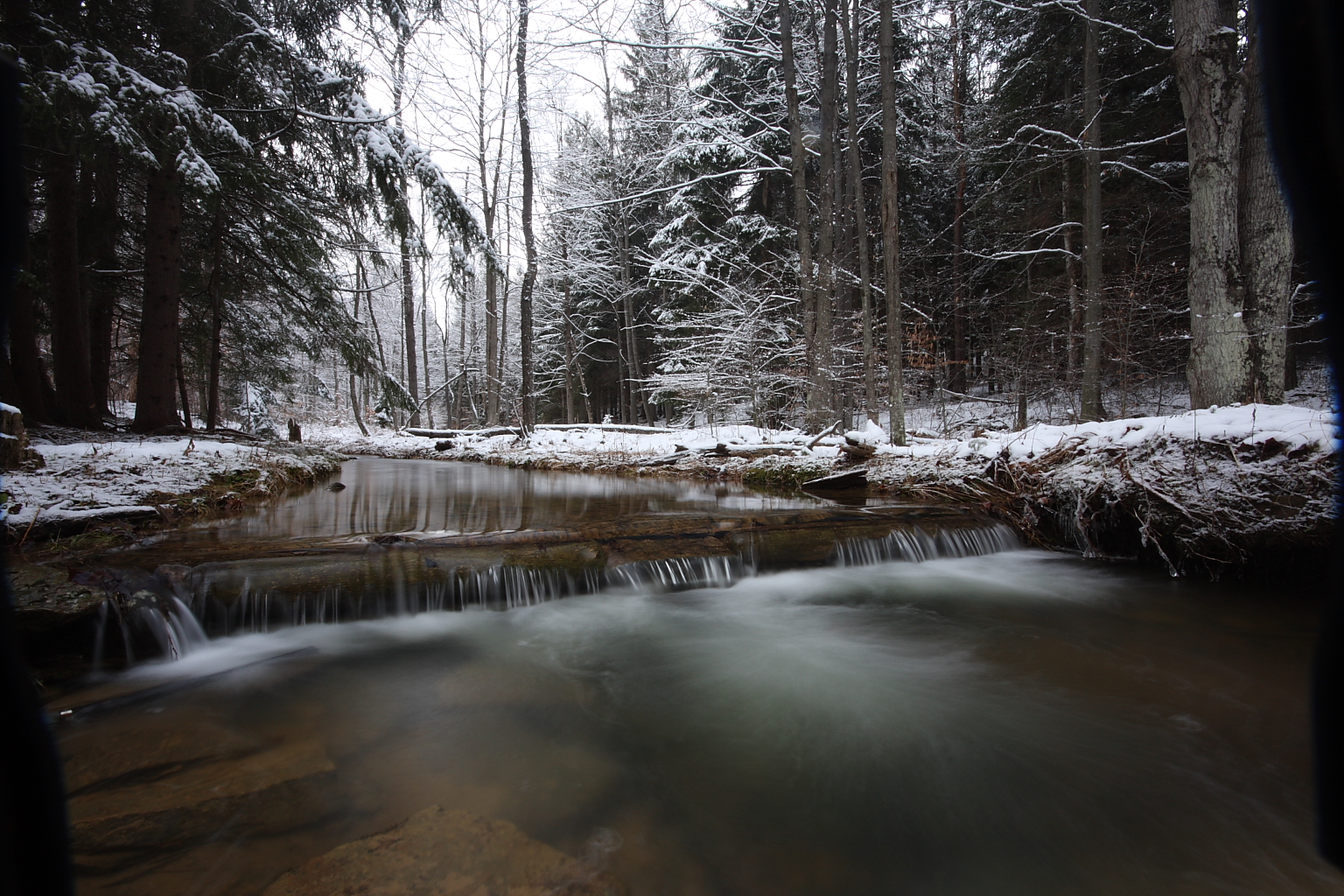 058 Drew Abel. Dents Run. Elk County | Visit PA Great Outdoors