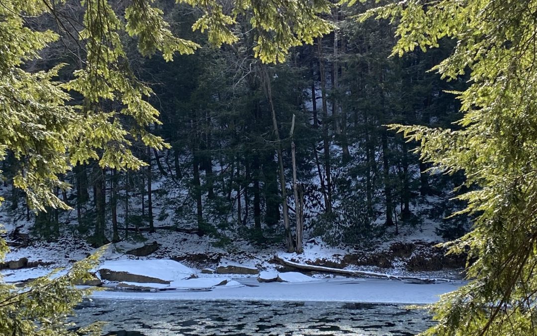 071 Danielle Baker. Cook Forest. Forest and Jefferson County | Visit PA ...