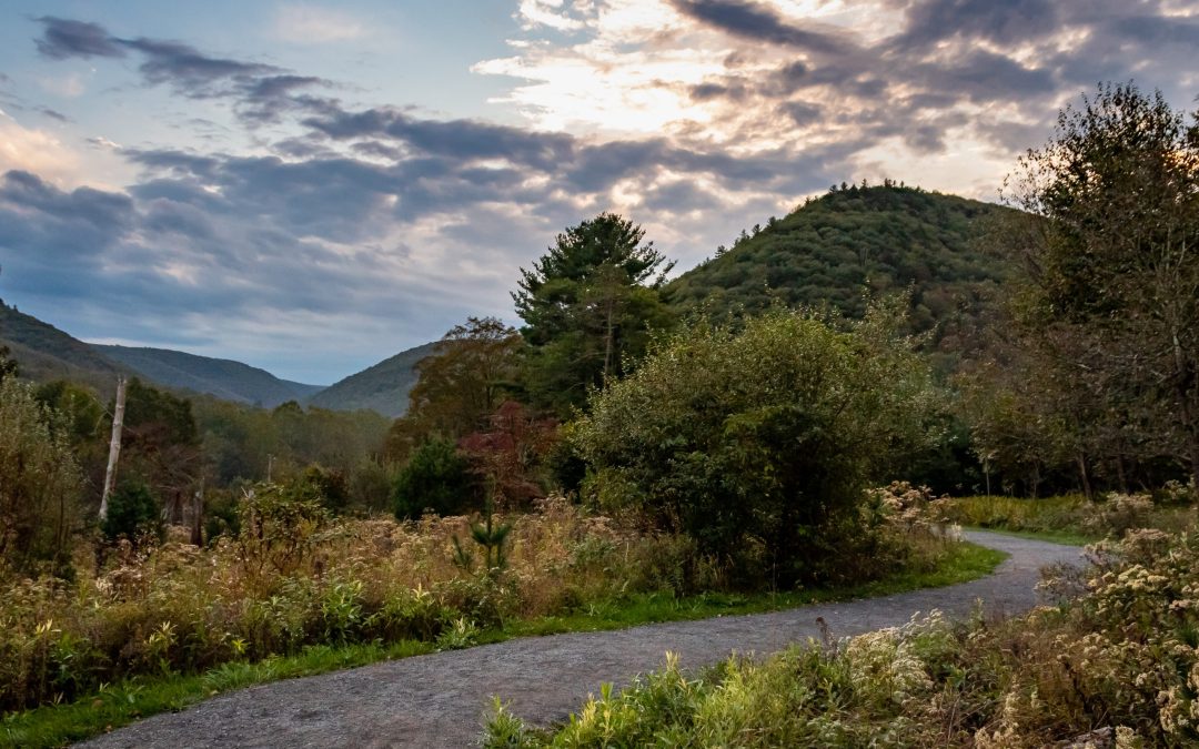 079. holly harris. hicks run viewing area. cameron county | Visit PA ...