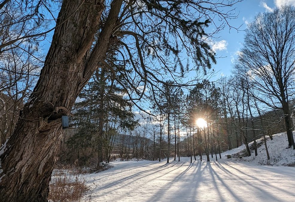 104 Michelle M Clark trees snow sunshine cameron county | Visit PA ...