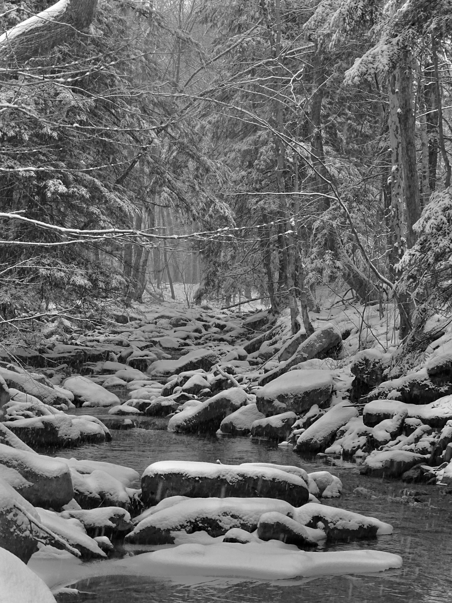 105 Scott Bates. Forest County | Visit PA Great Outdoors