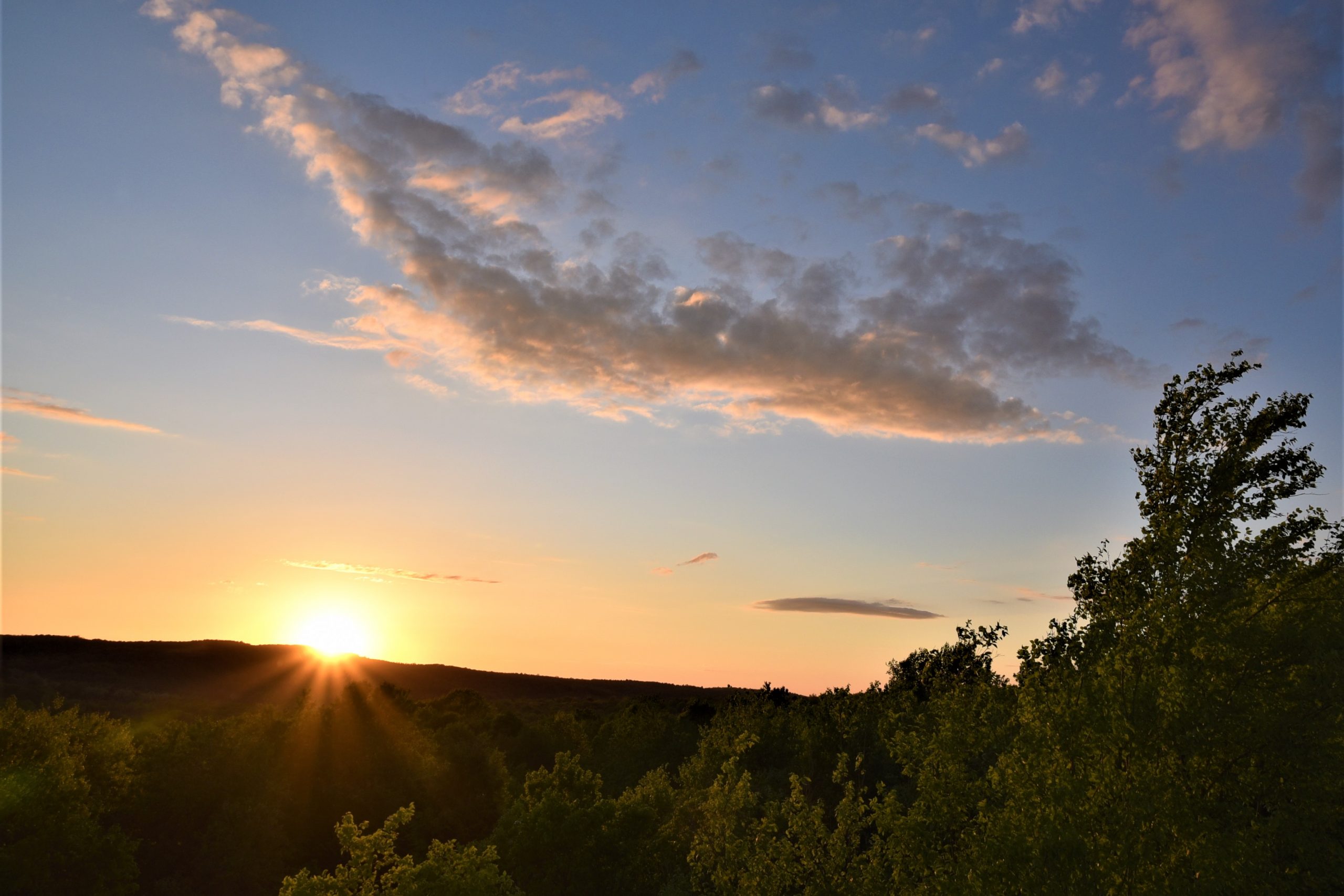 111 Alan Gardner | Visit PA Great Outdoors