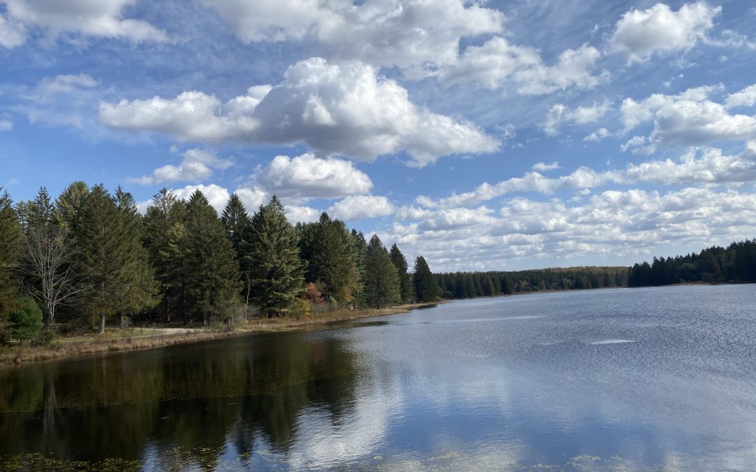 128 Danielle Baker Buzard Swamp Forest County | Visit PA Great Outdoors