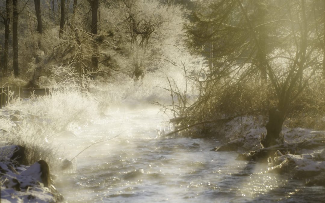 169 Cathy Straub. cameron county | Visit PA Great Outdoors