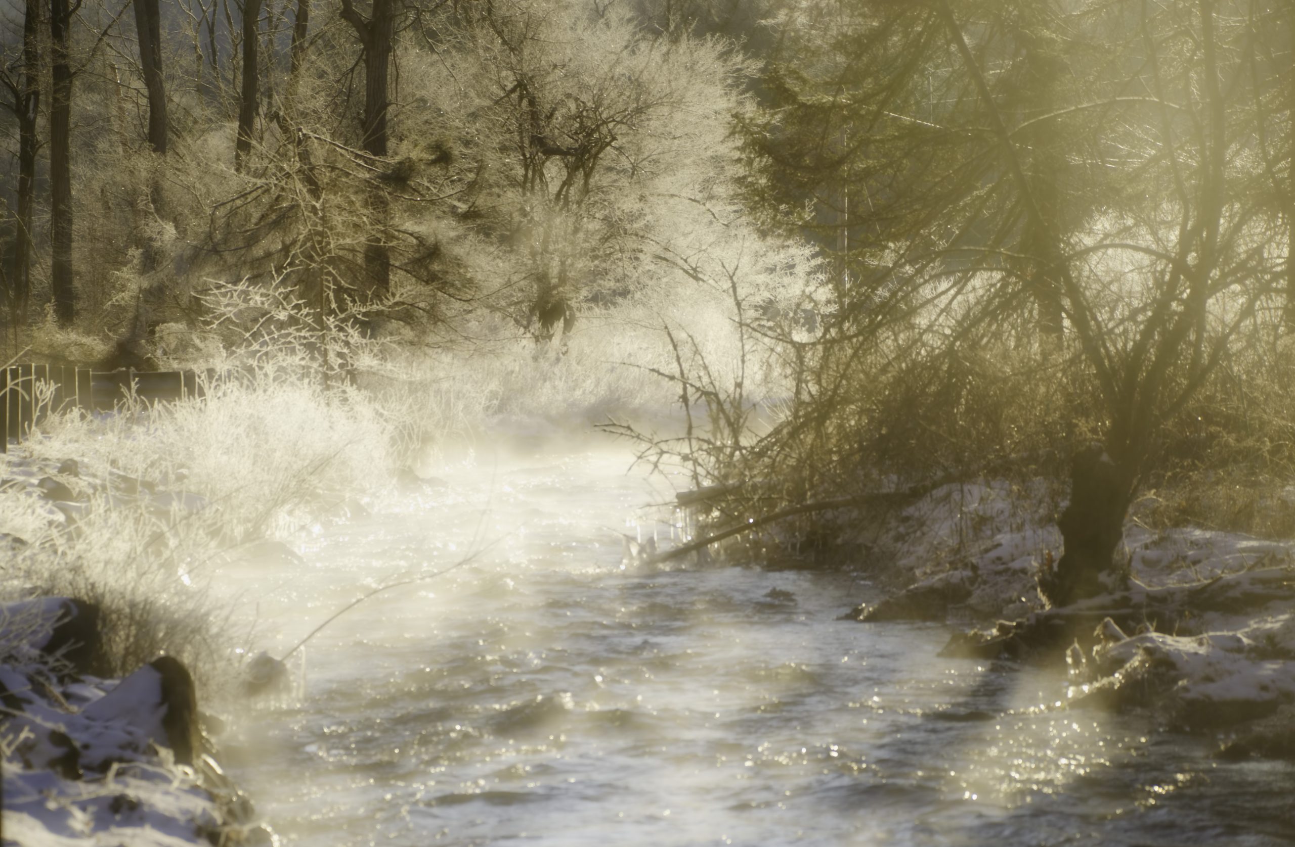 169 Cathy Straub. cameron county | Visit PA Great Outdoors