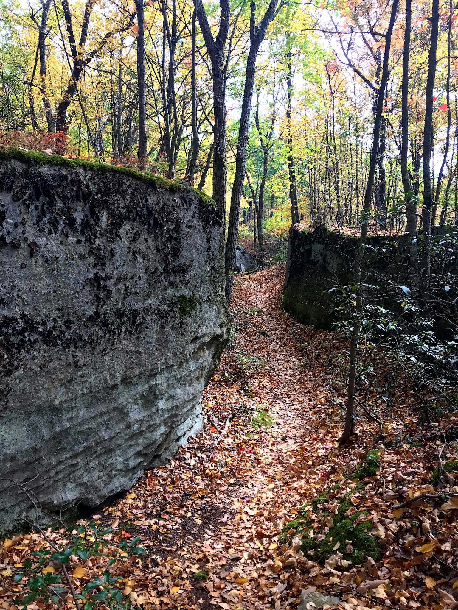 186 Jamie Herzing big rocks in fall cameron county | Visit PA Great ...