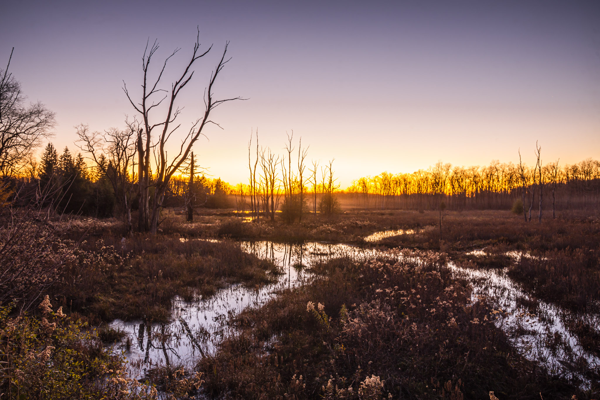 189 Jeremiah Gadsby elk county swamp | Visit PA Great Outdoors