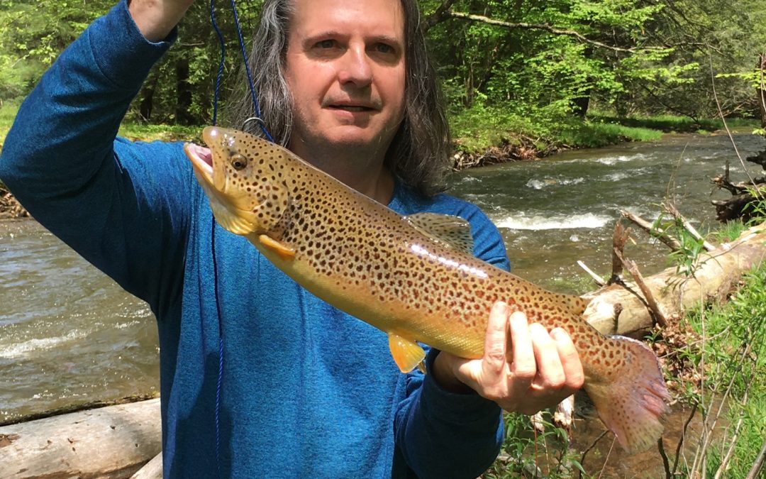 2019 056 Brown Trout Mix Run Creek – Edward Bearer | Visit PA Great ...