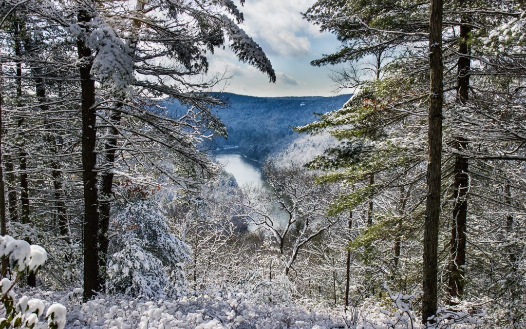 203 – Cook Forest Clarion River Overlook Winter – Justine Kaza | Visit ...
