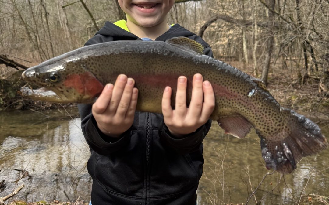 4036 Anthony Gerg Elk County Wolf Run Trout | Visit PA Great Outdoors
