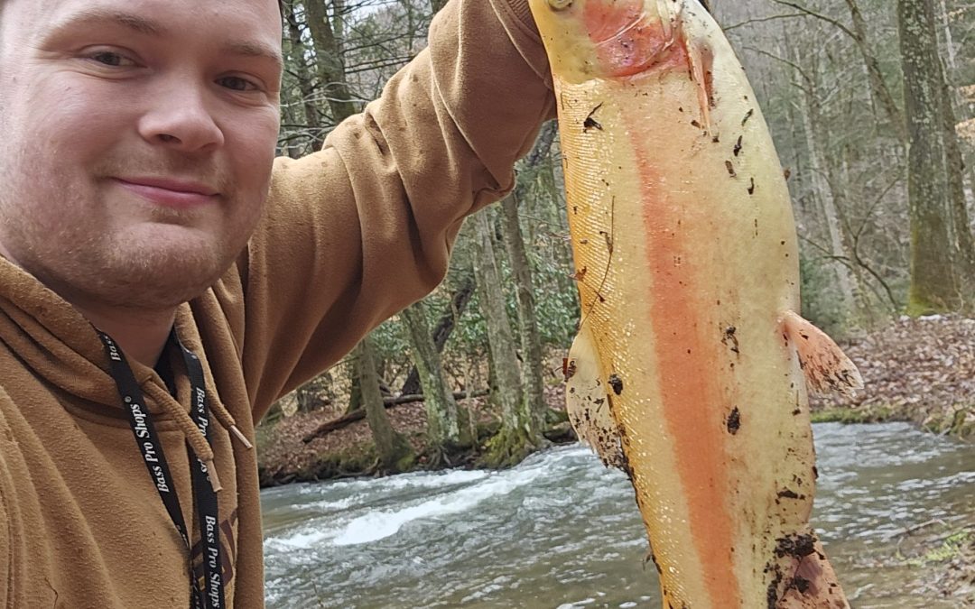 4059 Jeb Payne Mix Run Cameron County Palomino Trout | Visit PA Great ...