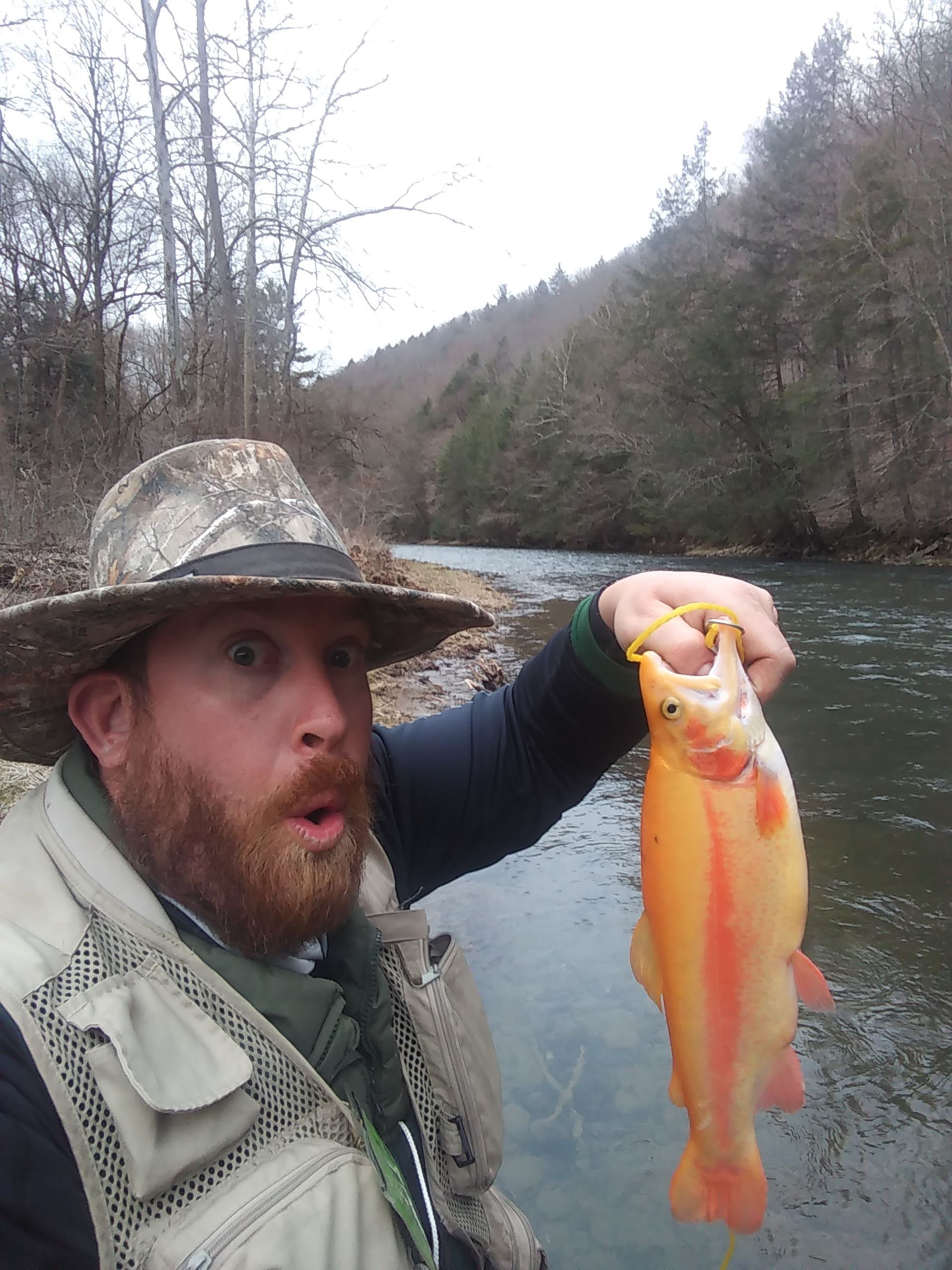 5021 Matthew Tvrdovsky Palomino Trout Cameron County | Visit PA Great ...