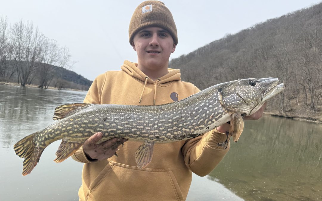 6030 Logan Ashbaugh Pike Allegheny river forest county | Visit PA Great ...