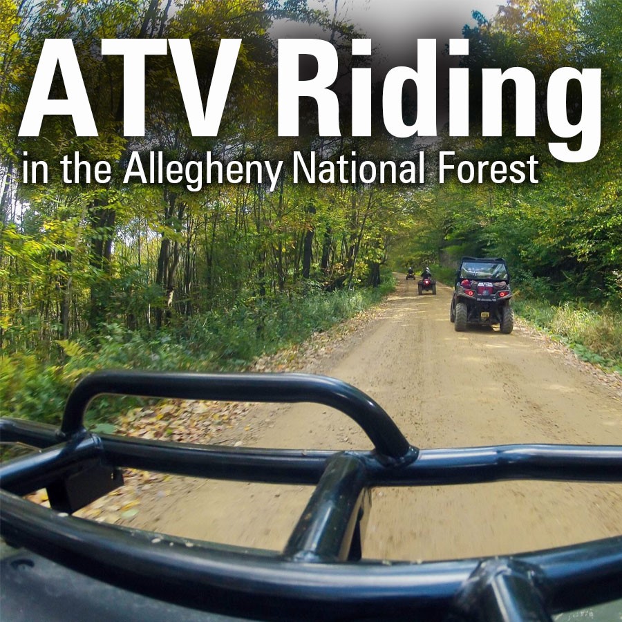 29 Years of Friendly Deer at Cook Forest’s Double Diamond Deer Ranch ...