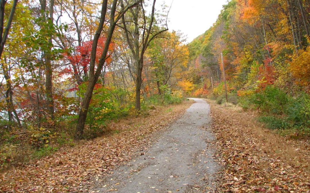 Armstrong Trail fall | Visit PA Great Outdoors
