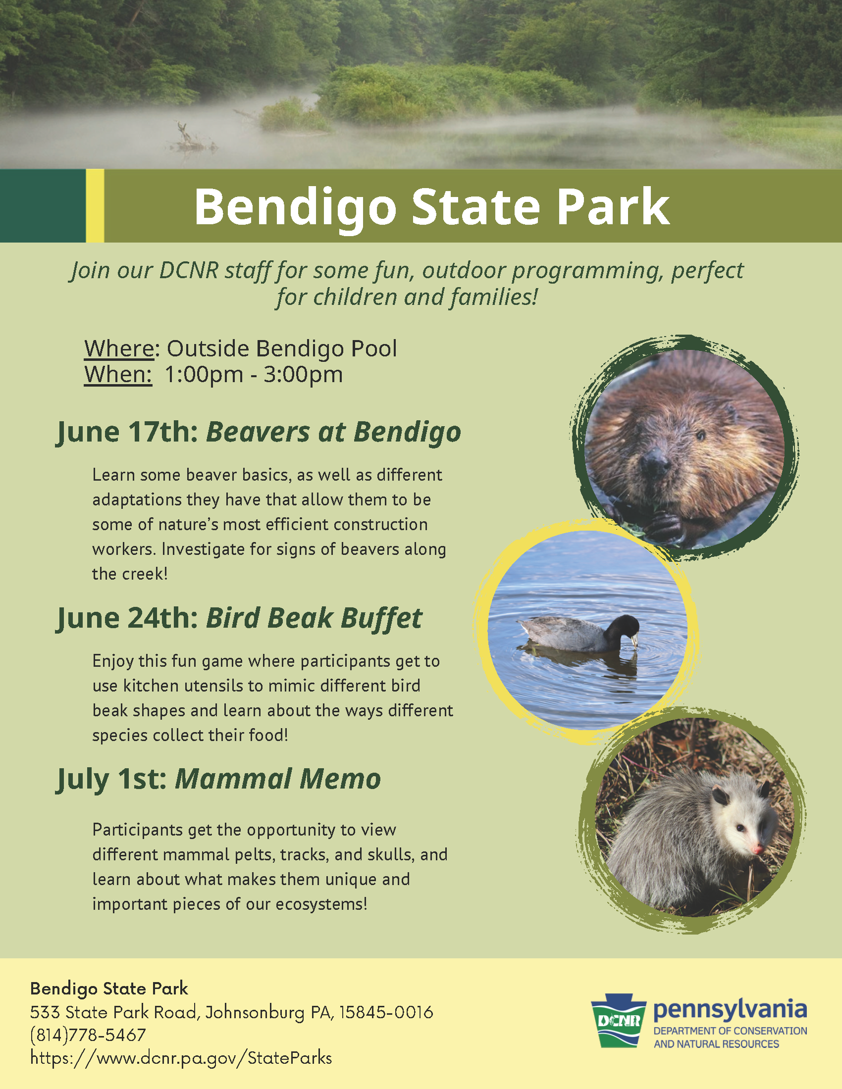 Bendigo Program Series Flyer – Olive | Visit PA Great Outdoors