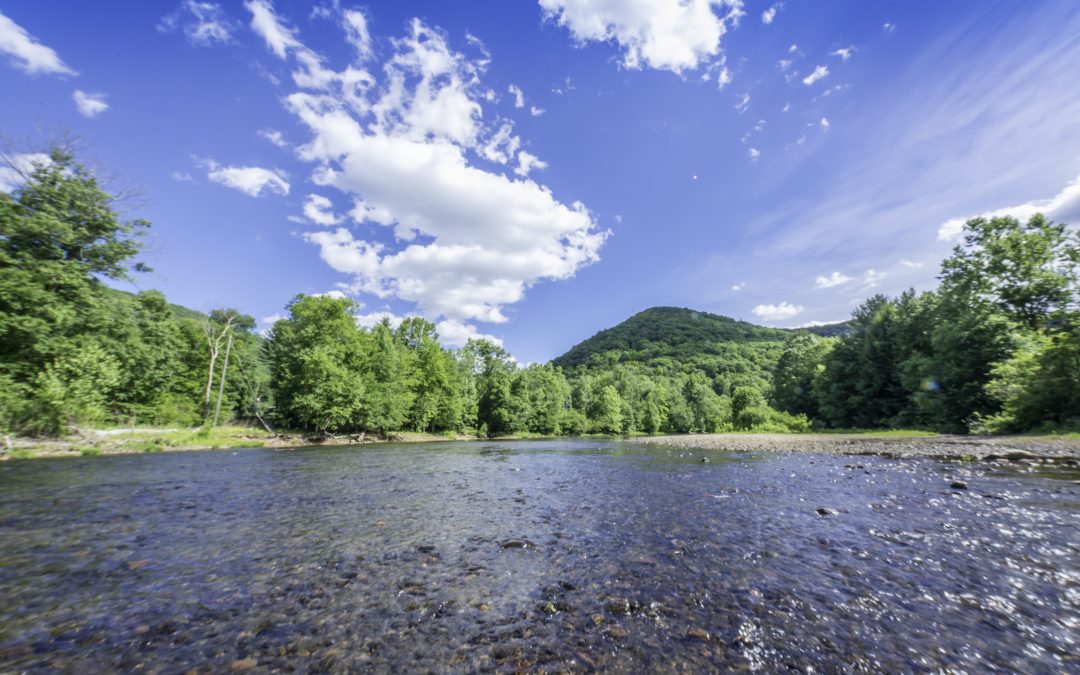 Medix Canoe Launch | Visit PA Great Outdoors