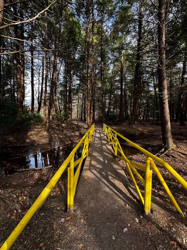 Benzinger Park St Marys | Visit PA Great Outdoors