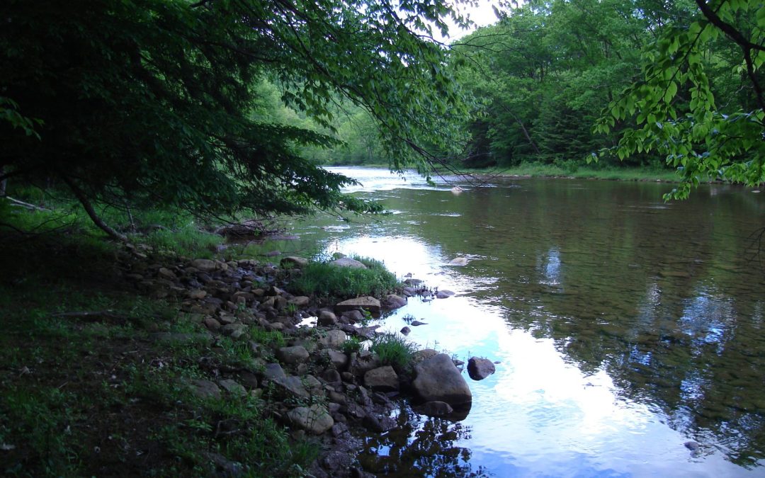 Blakeslee Natural Area Elk County | Visit PA Great Outdoors