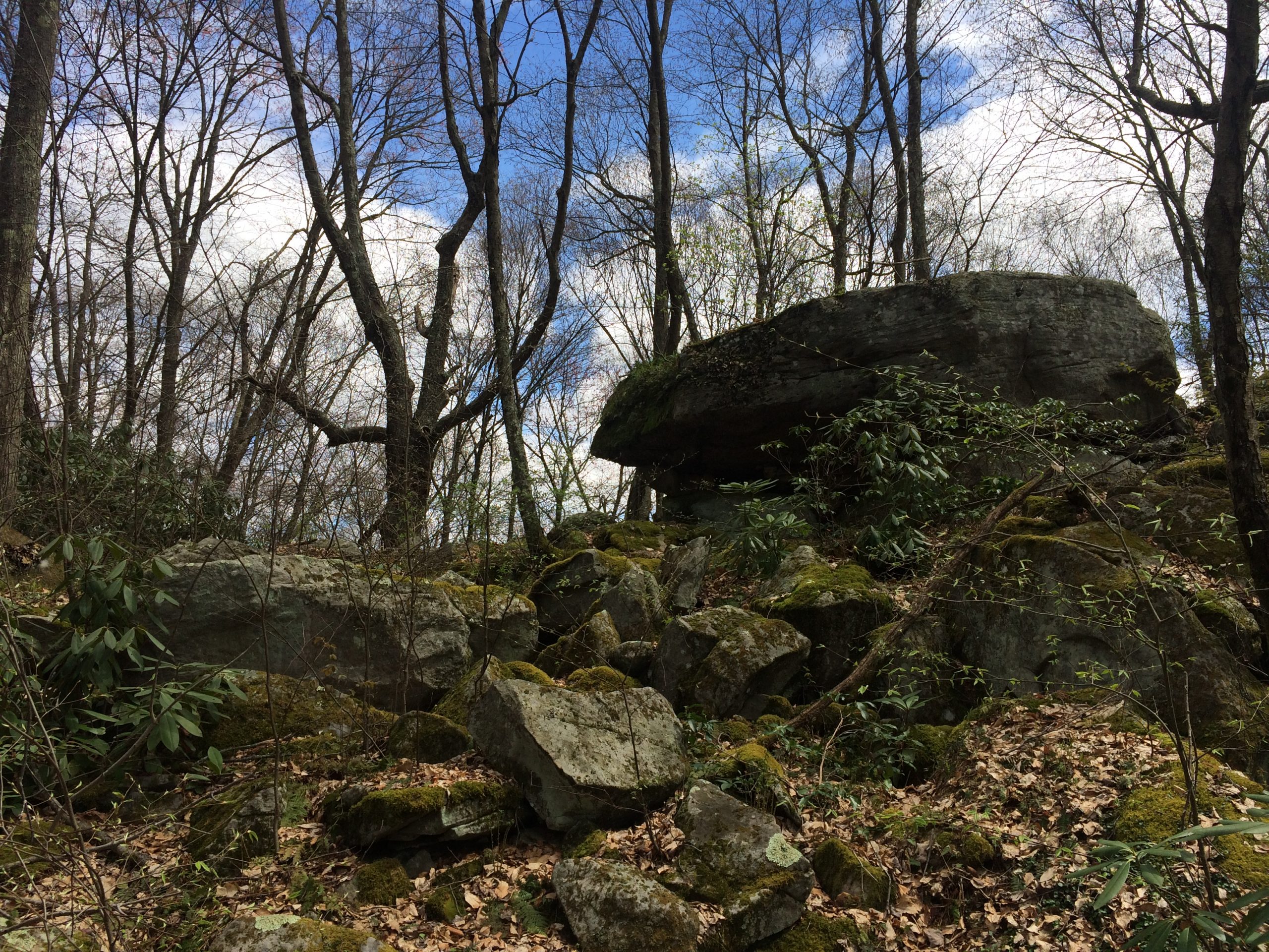 Blue Ridge Forest rocks 2 | Visit PA Great Outdoors