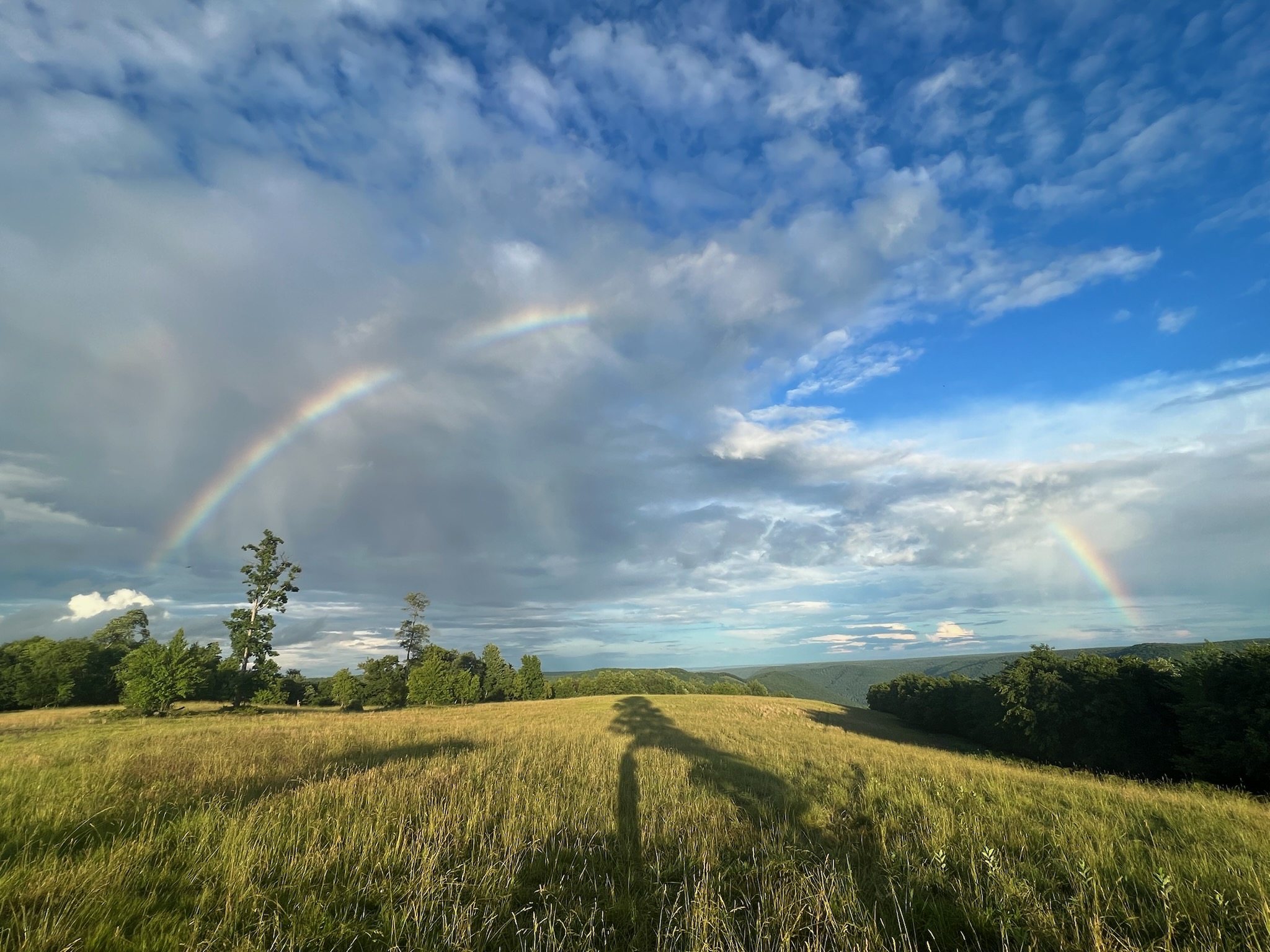 Bucktail Overlook Jennifer Lukehart | Visit PA Great Outdoors