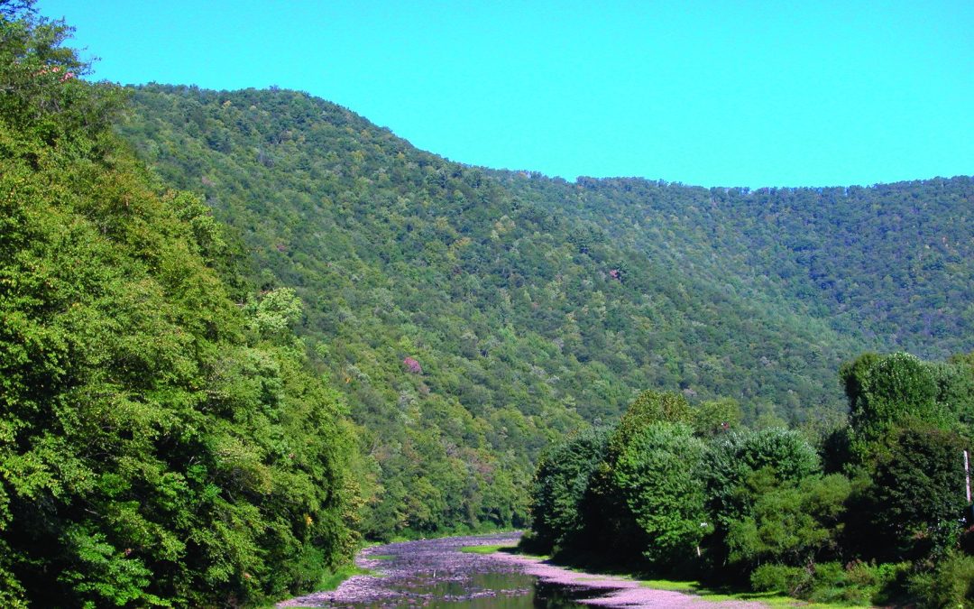 Bucktail State Park Natural Area – Sinnemahoning Creek and West Branch ...